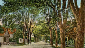 History – Cape Cod Route 6a .com